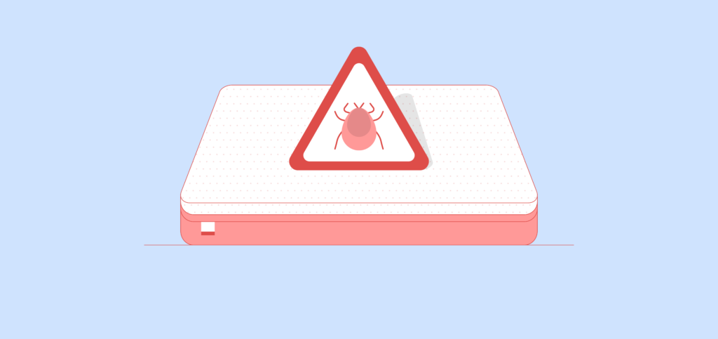 Signs You Have Fleas in Your Bed and How to Get Rid of Them - Lucky Mag